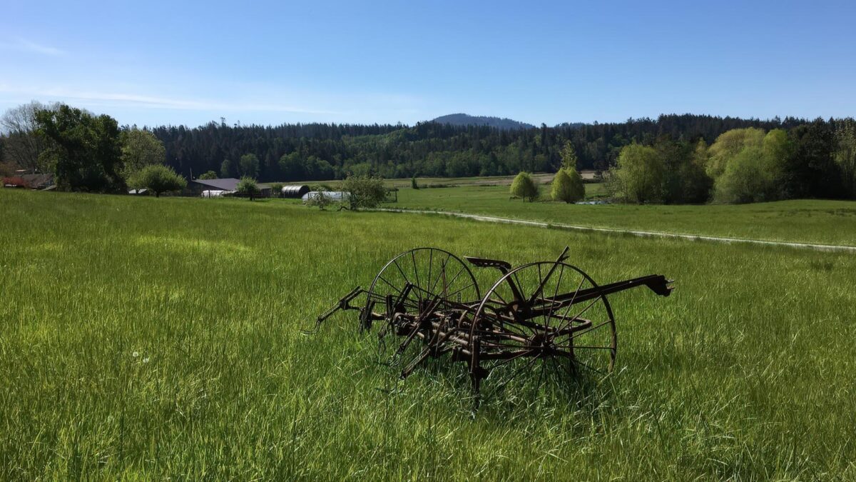 Coffelt Farm Preserve – San Juan County Conservation Land Bank